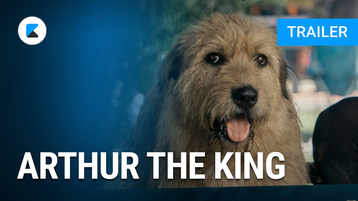 Mark Wahlberg & Hund kämpfen sich in wahrer Geschichte durch 700 ...