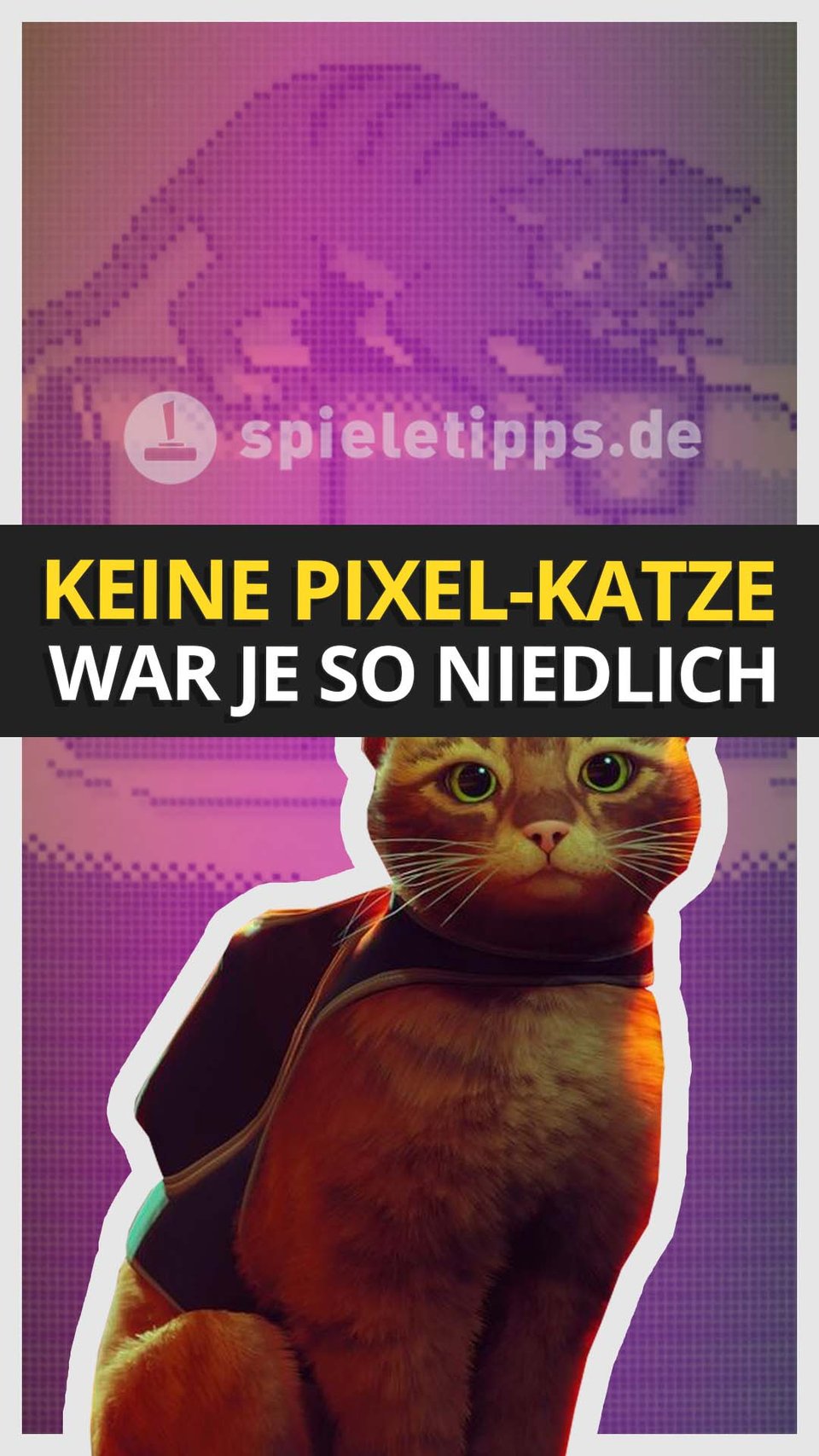 😻OMG ist diese Pixel-Katze süß!