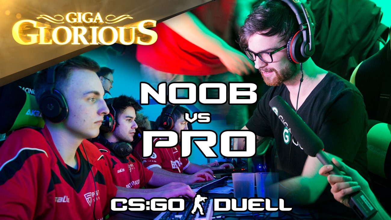 Was ist ein Noob? Unterschied zum Boon?